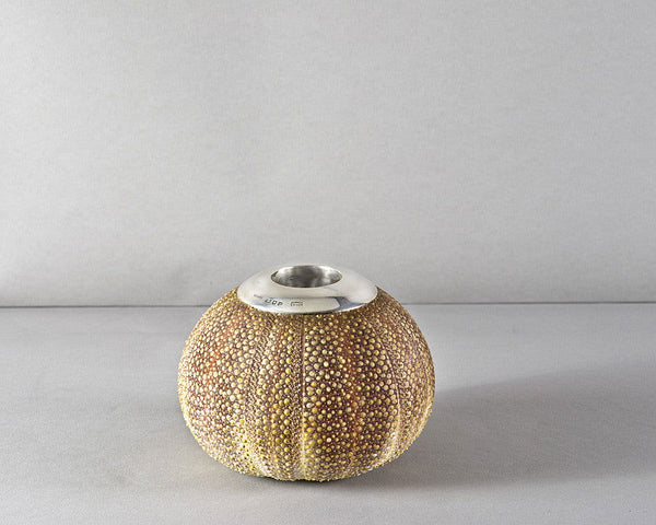 An Asprey Sea Urchin Match Striker, 1958 – Luke Honey | Antiques, Chess ...