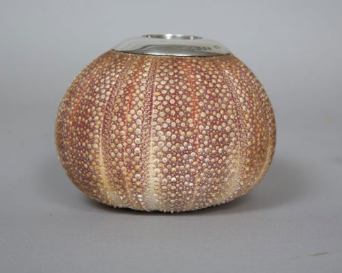 An Asprey Sea Urchin Match Striker, 1958 – Luke Honey | Antiques, Chess ...
